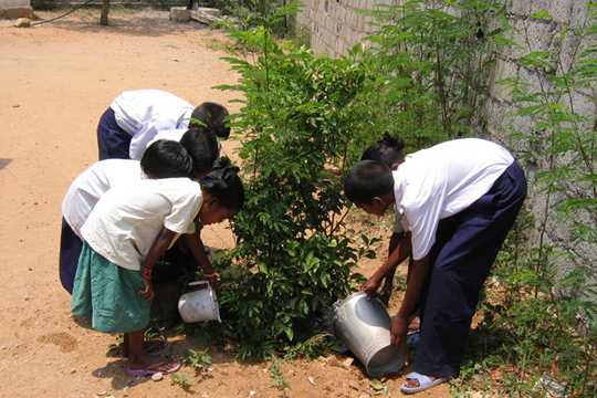 Trees for Tots | LaunchGood