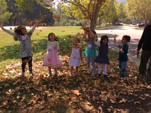 S.O.S. HELP Garden of Knowledge Not Close in 2 Days! | LaunchGood ...