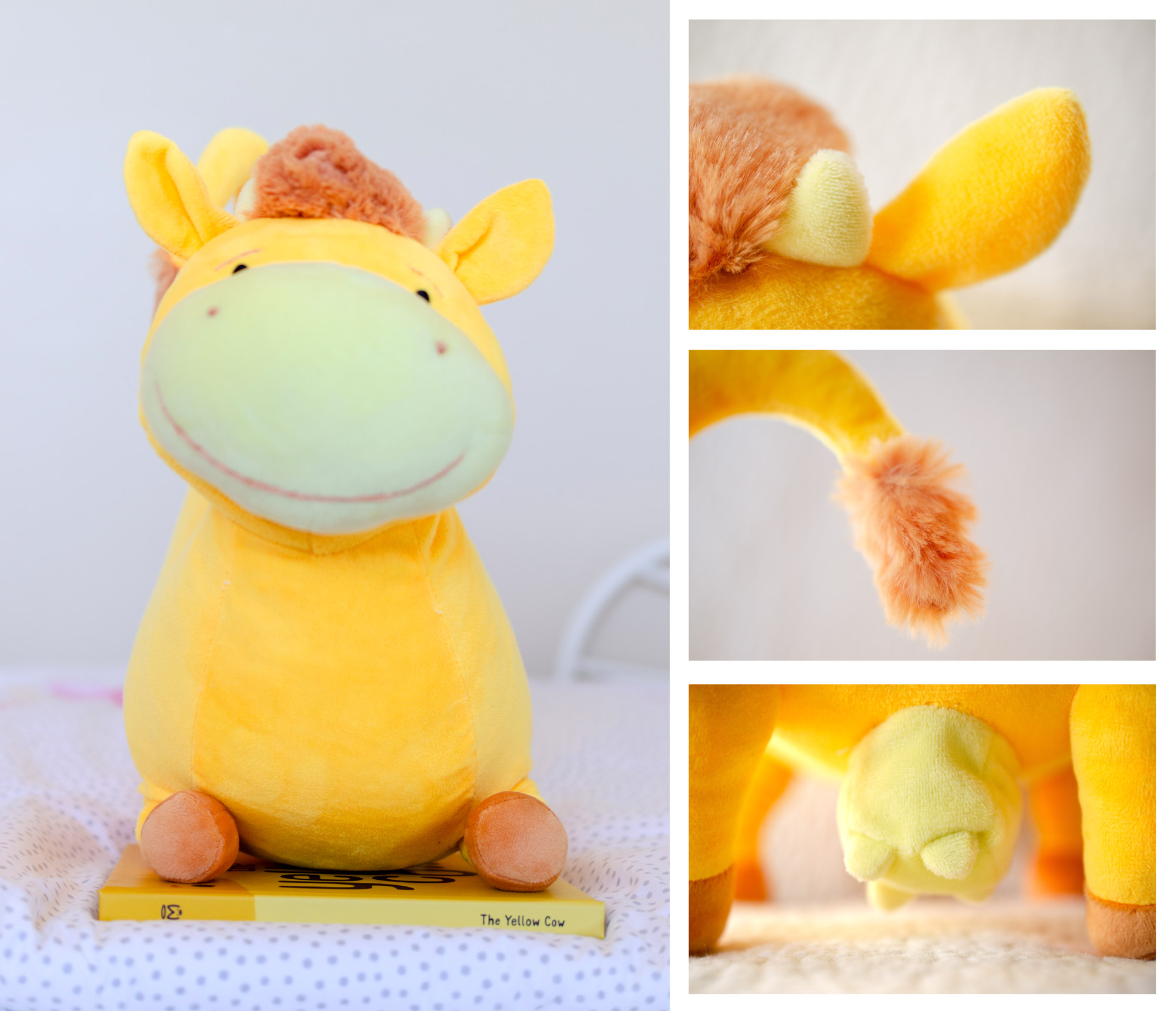 Jolly Animals | LaunchGood