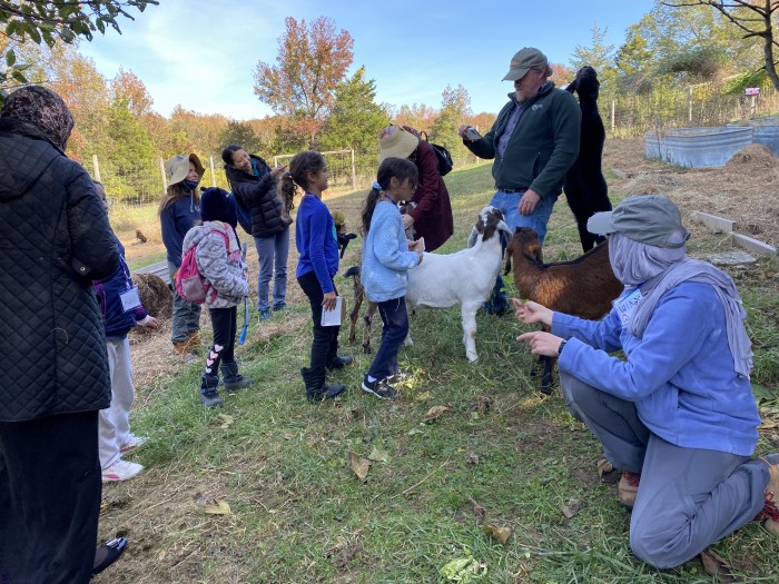 Green Our Deen | LaunchGood | LaunchGood