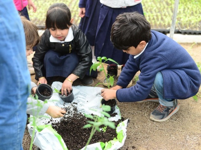 Support Women-Farmers & needy families In Gaza with small agriculture ...