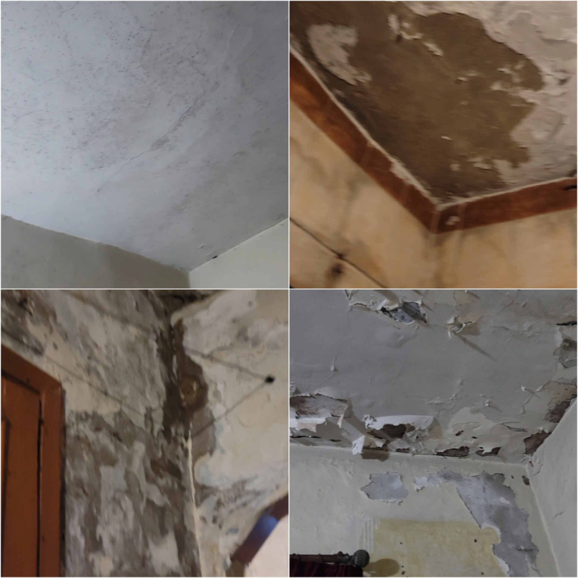 Your Zakat Her Backbone Launchgood Launchgood