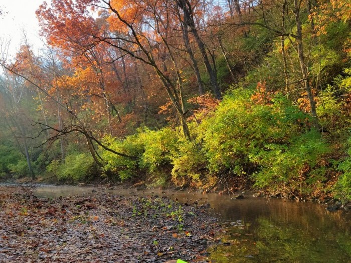 Humanitarian work to Honor Rasha's father | LaunchGood | LaunchGood