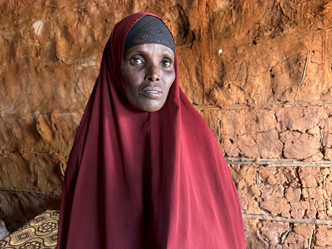 Horn Of Africa Food Crisis | Donate to help the Hardest Hit by Hunger ...