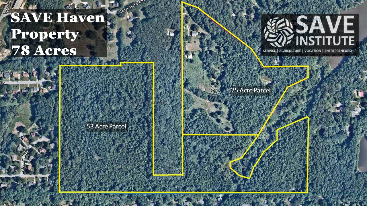 Triumph & Growth: Building SAVE Haven to Empower Black Male Youth ...