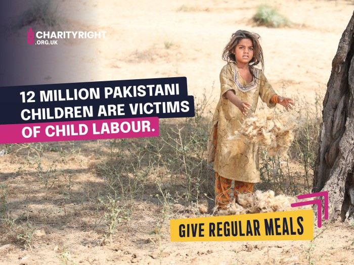 12 Million Pakistani Children are Victims of Child Labour. Let’s End ...
