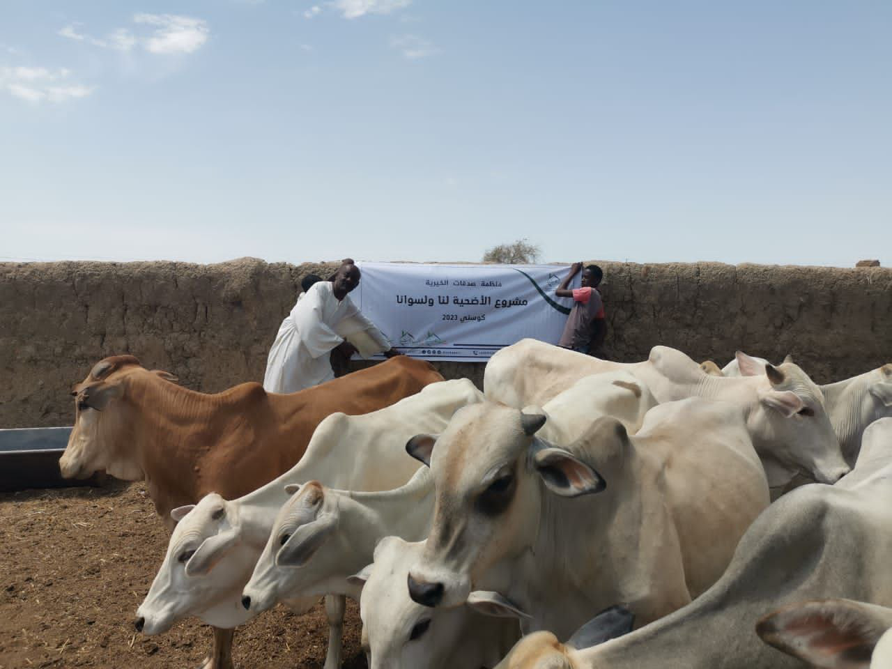 Remember Sudan with your Qurbani/Udhiya | LaunchGood | LaunchGood