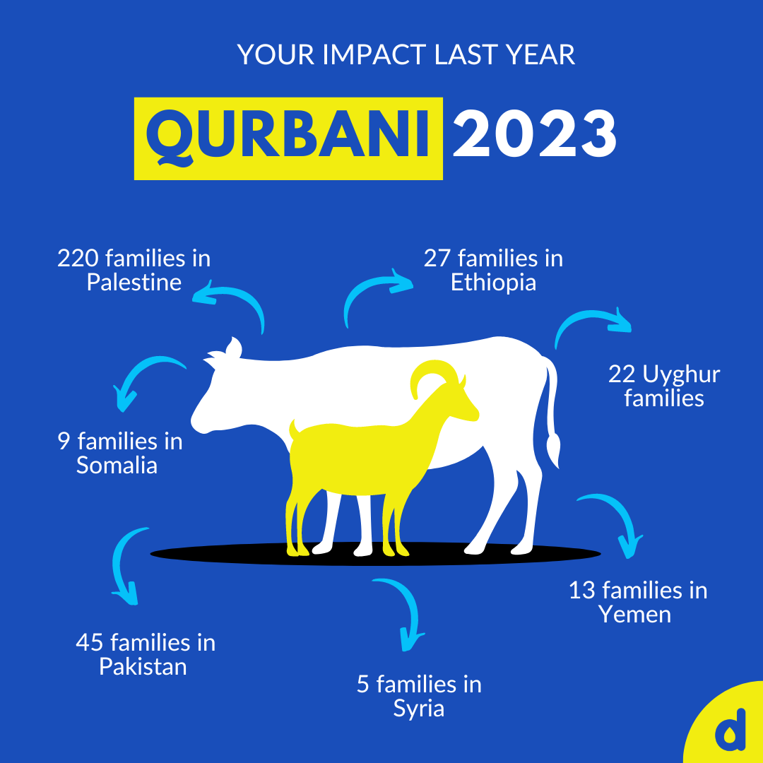 Donate Qurbani in Gaza this Eid ul Adha | LaunchGood | LaunchGood