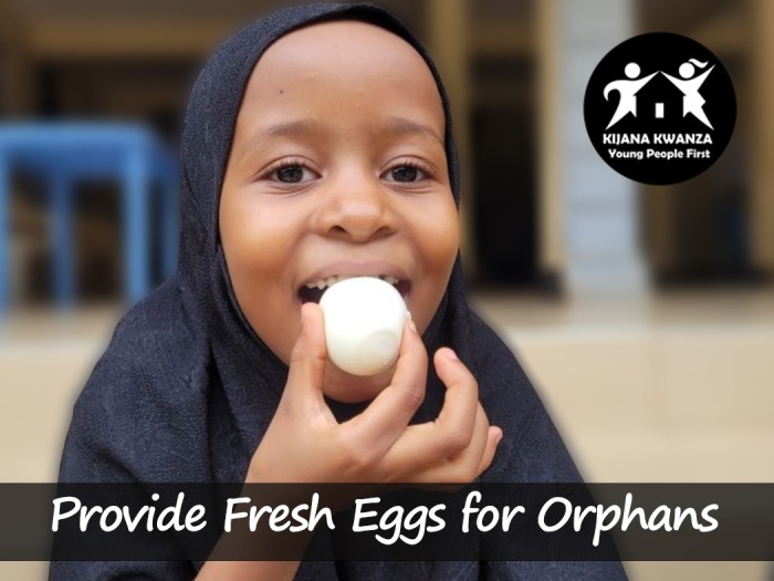 Help Buy Chickens to Provide Fresh Eggs for Orphans | LaunchGood ...