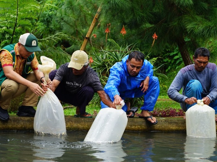 Donate Baby Fish to Support Sustainable Food Program for Boarding ...