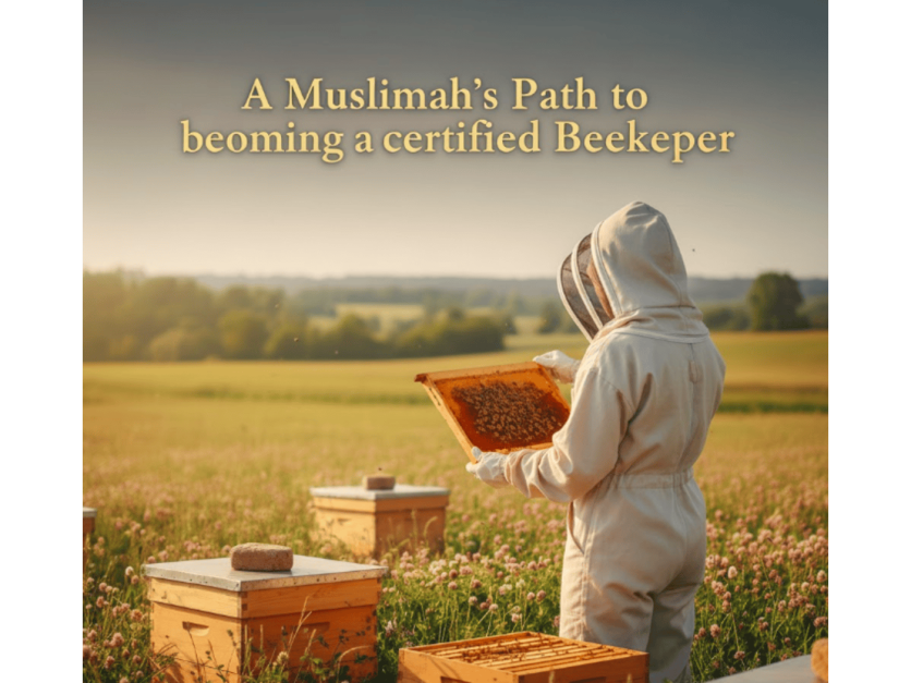 Bismillah & Bees: a Muslimah's path to becoming a certified Beekeeper ...