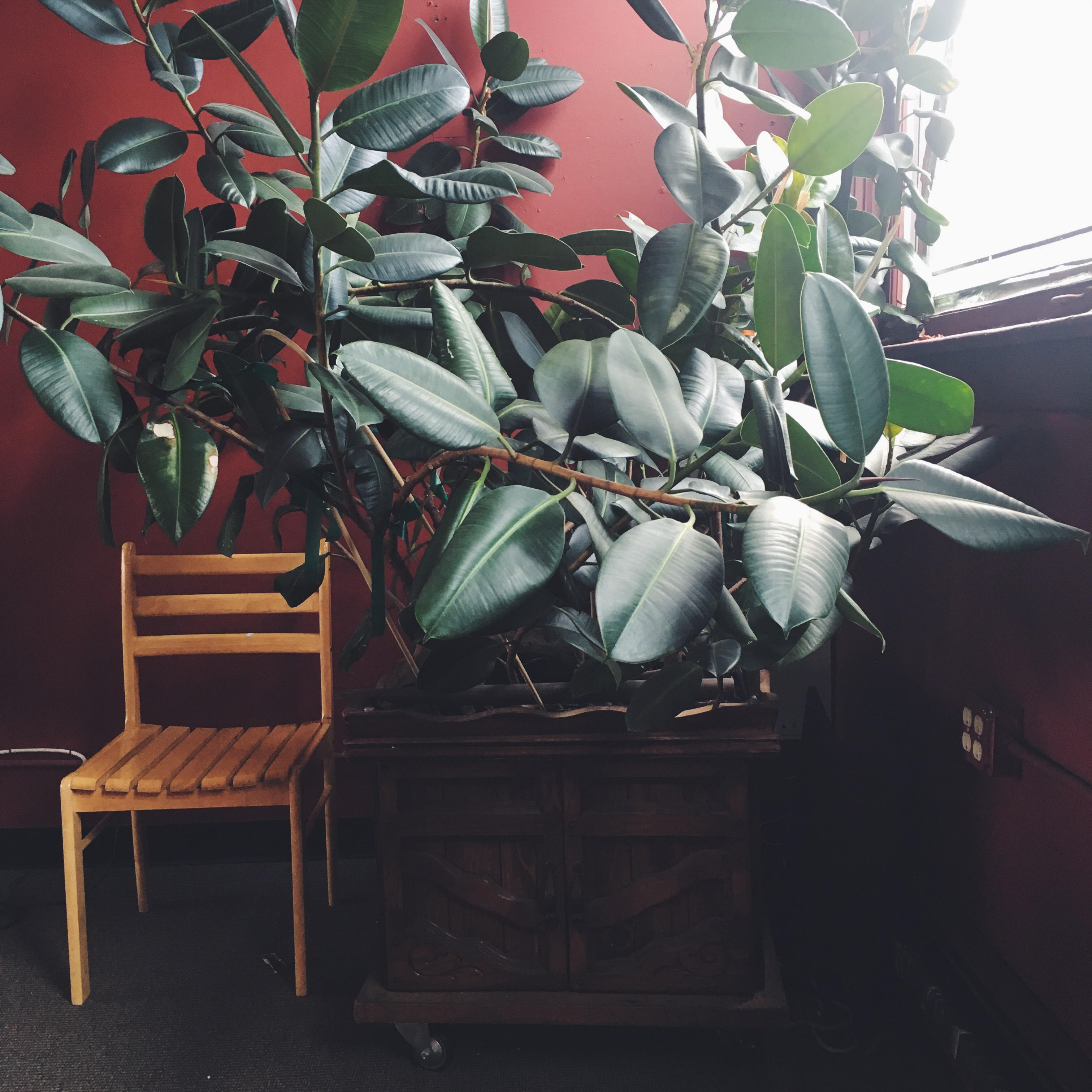 Requiem for the Creatives | LaunchGood