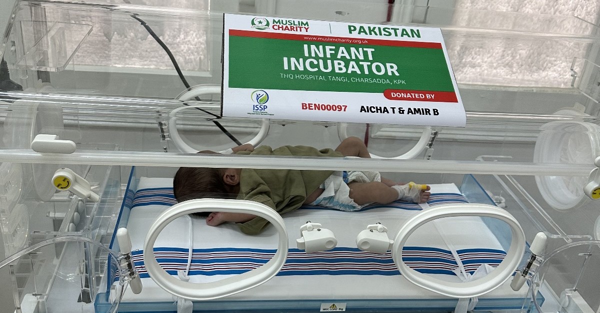 Incubators for New Babies | LaunchGood | LaunchGood