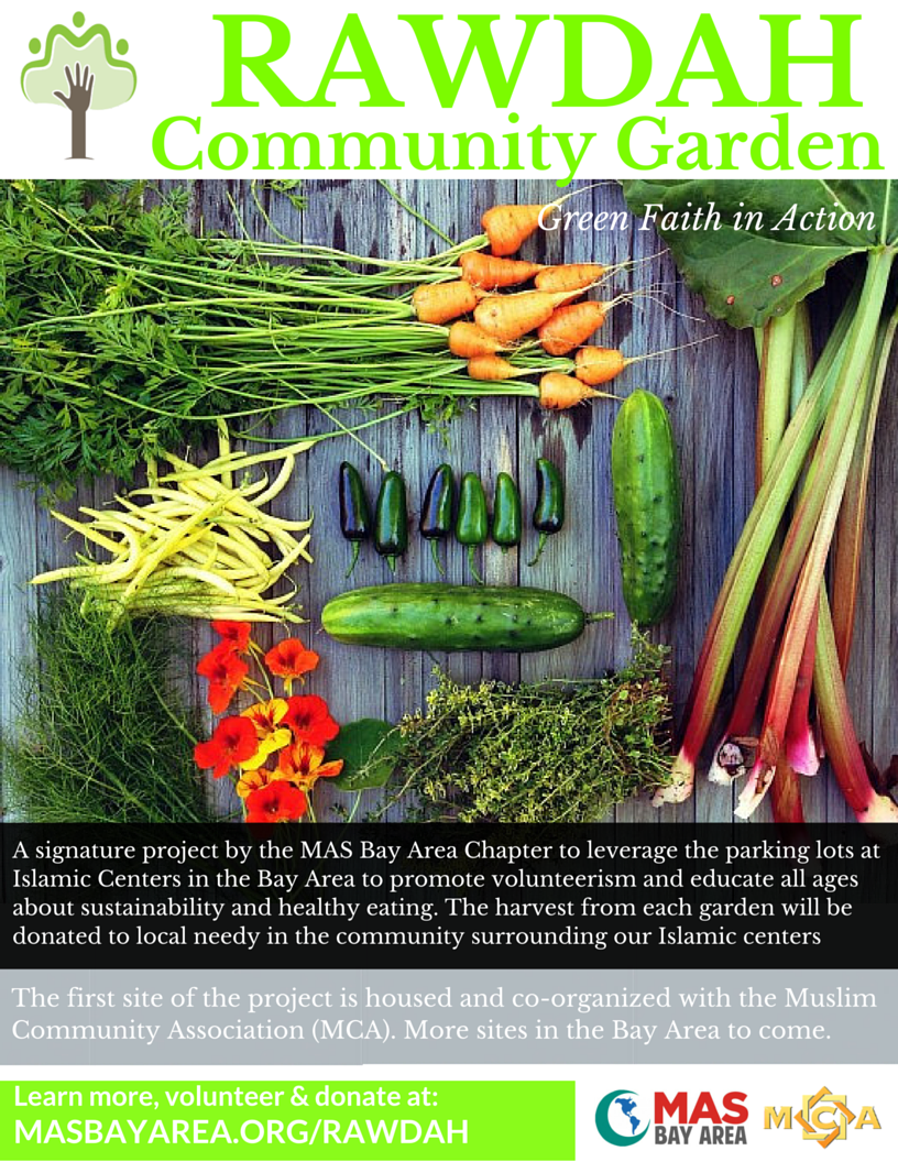 MAS RAWDAH Community Garden at MCA Bay Area Mosque | Eco-Islam ...