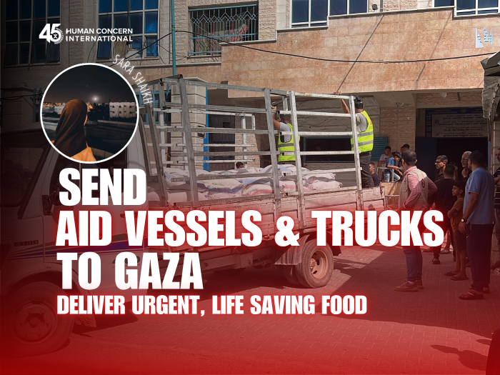 Urgent: Send Aid to Gaza via Vessels & Trucks through HCI w/ Sara ...
