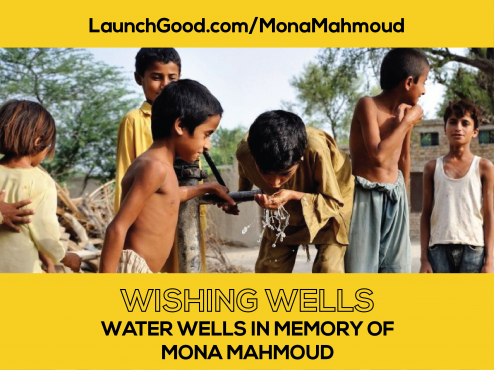 Water well - In Memory of Mona Mahmoud | LaunchGood | LaunchGood