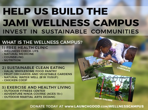 Help us build a Wellness Campus for the Inner City | LaunchGood ...