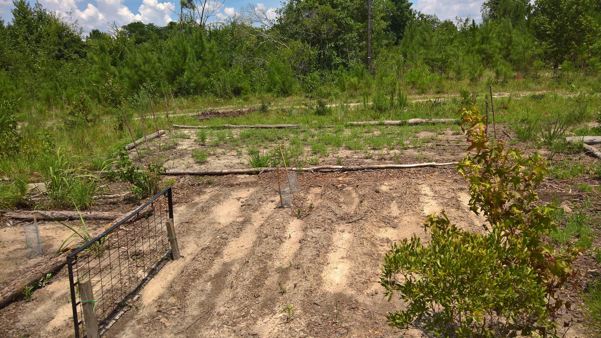 Help Us Build A Muslim Farming Community | LaunchGood