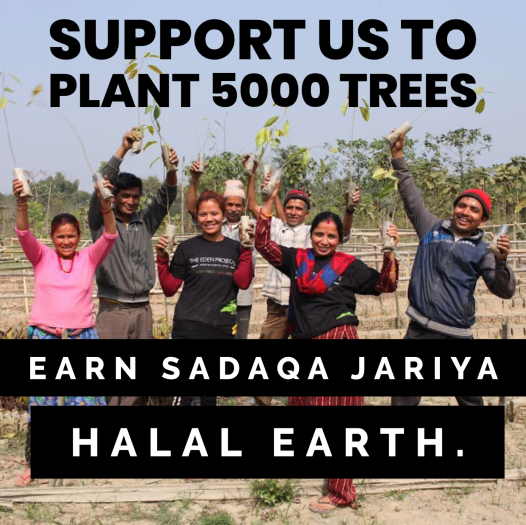 Help Halal Earth Plant 5,000 Trees And Earn Sadaqa Jariya | LaunchGood ...