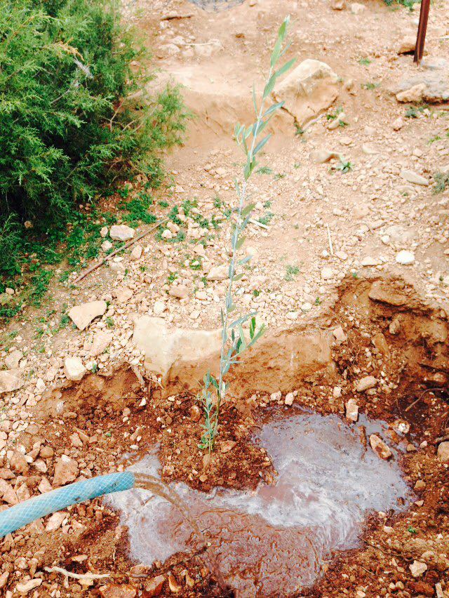 Water Reservoir for High Atlas Village in Morocco | LaunchGood | LaunchGood