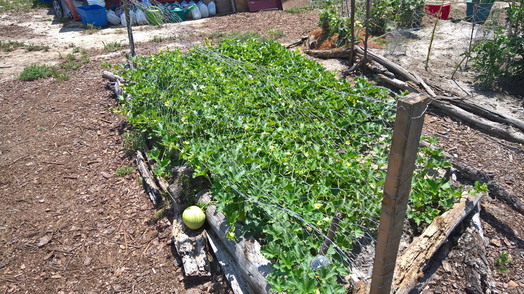 Help Us Build A Muslim Farming Community | LaunchGood